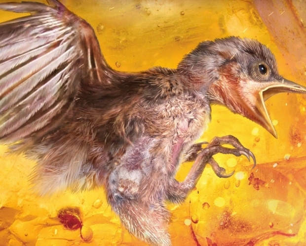 Philip J. Currie Dinosaur Museum