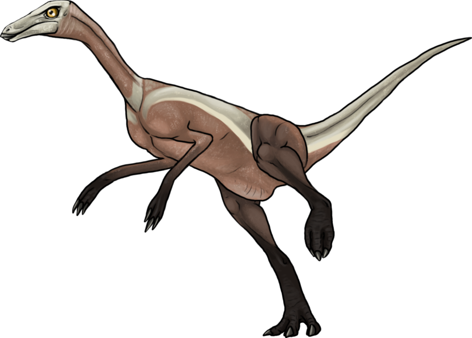 DINOS OF THE PEACE REGION - Philip J. Currie Dinosaur Museum