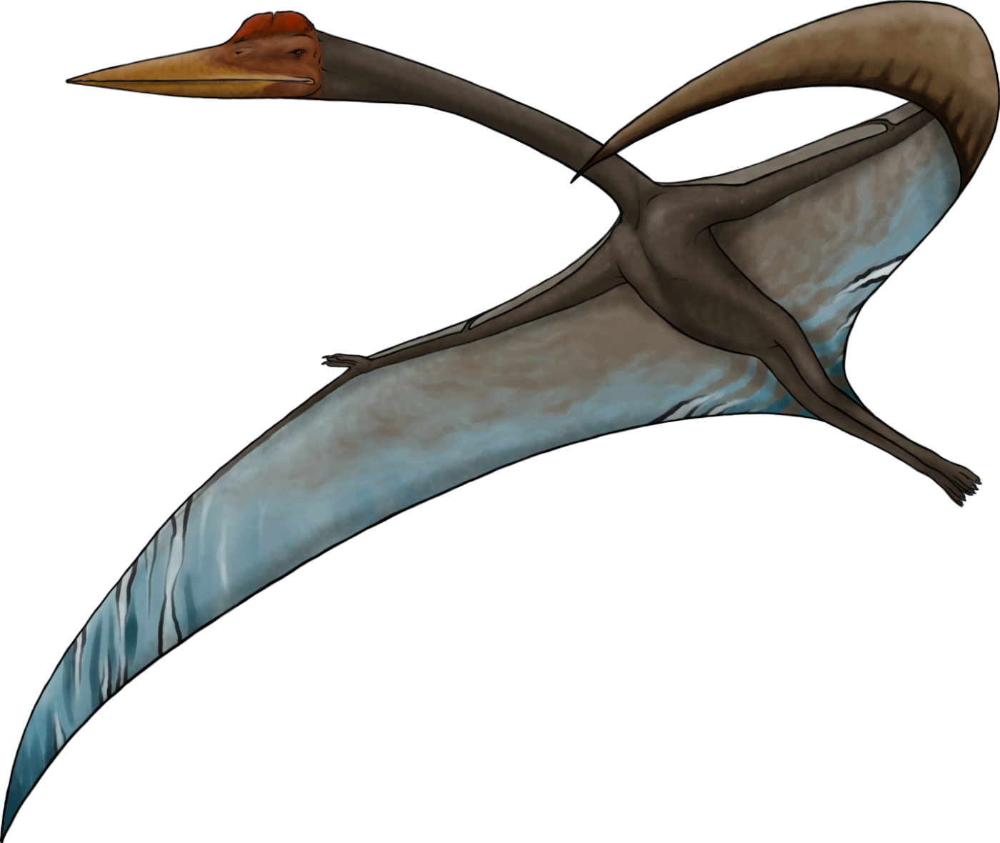 DINOS OF THE PEACE REGION - Philip J. Currie Dinosaur Museum