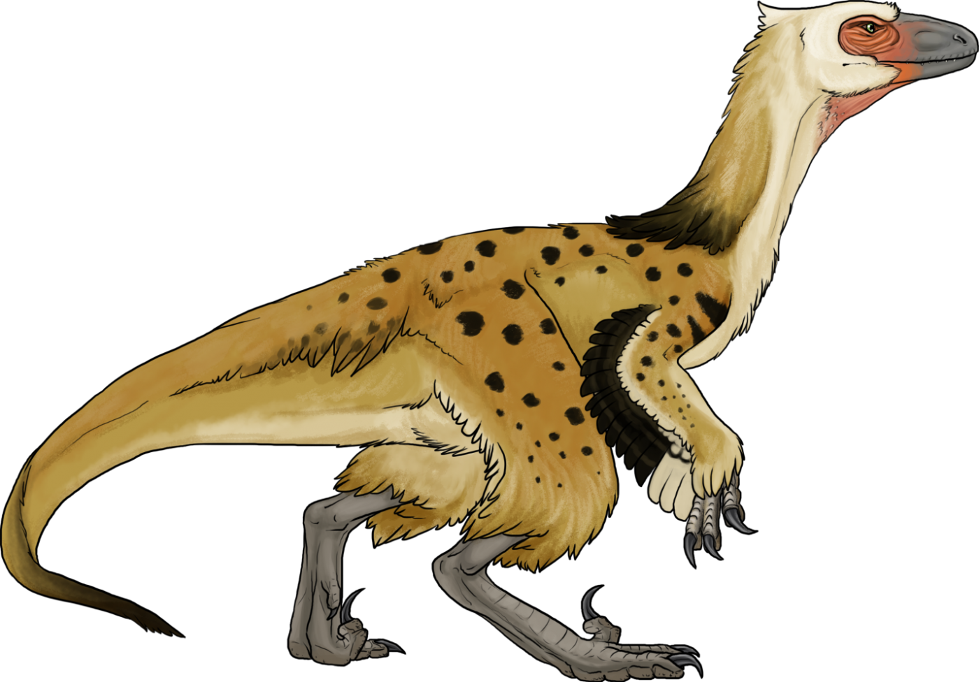 DINOS OF THE PEACE REGION - Philip J. Currie Dinosaur Museum