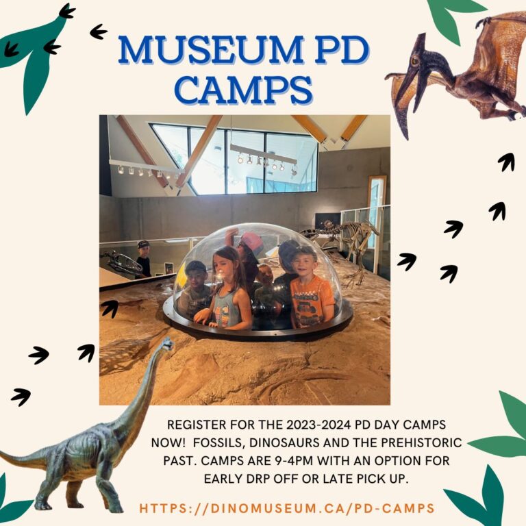 Philip J. Currie Dinosaur Museum - Wembley, Alberta, Canada