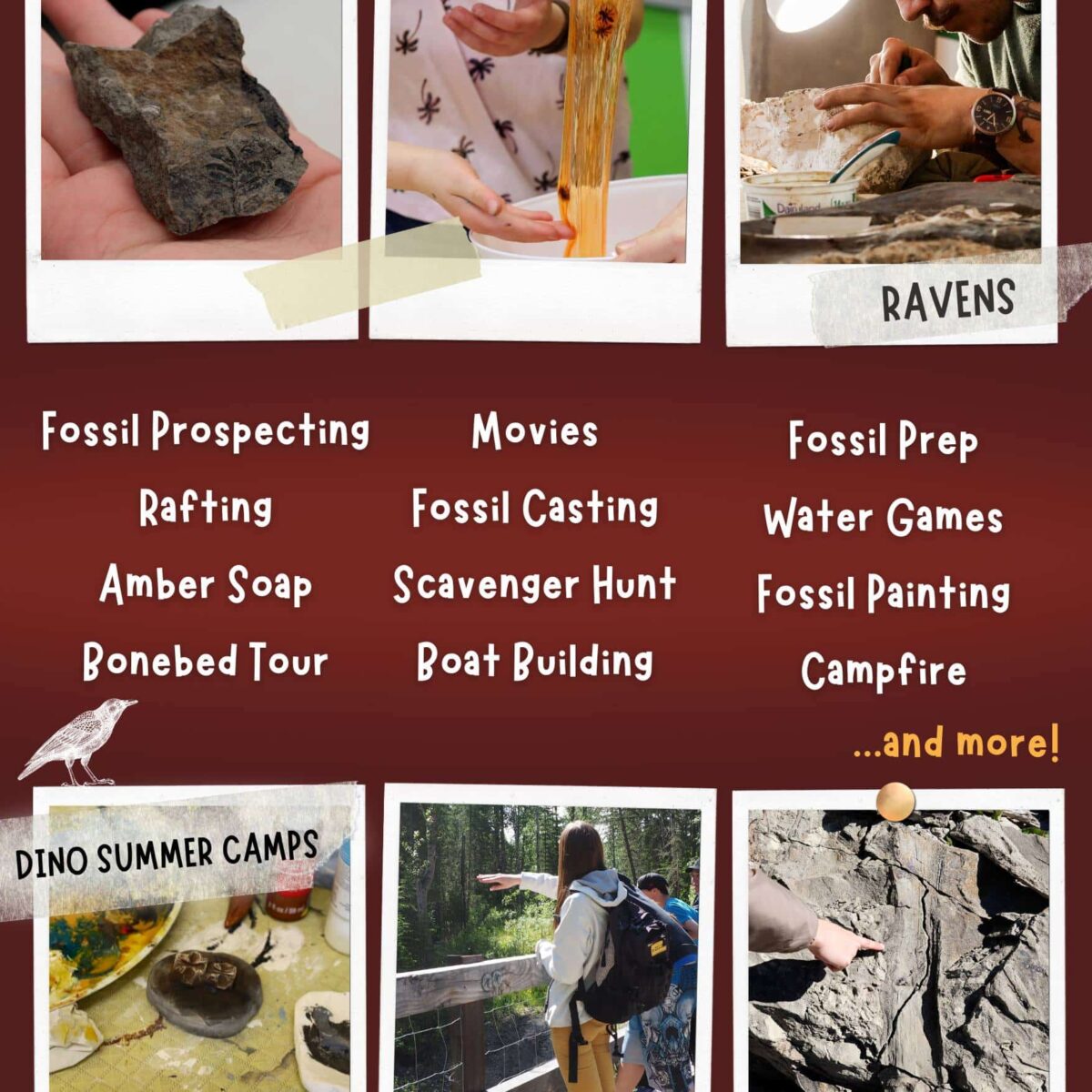 DINO SUMMER CAMPS - Philip J. Currie Dinosaur Museum