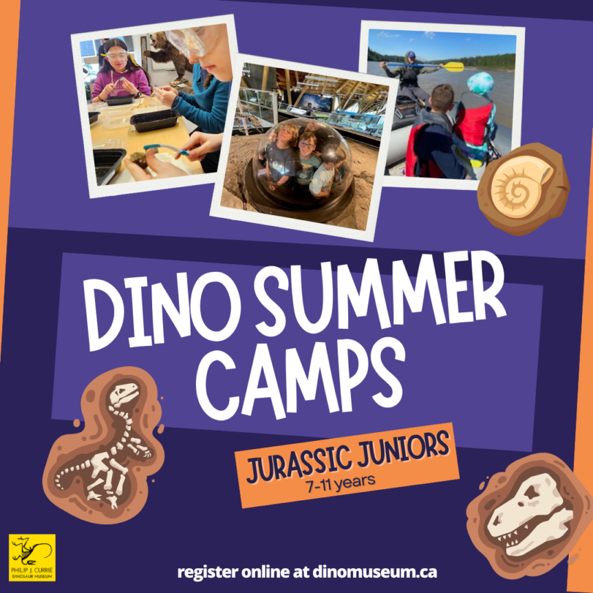 Dino Summer Camps - Philip J. Currie Dinosaur Museum