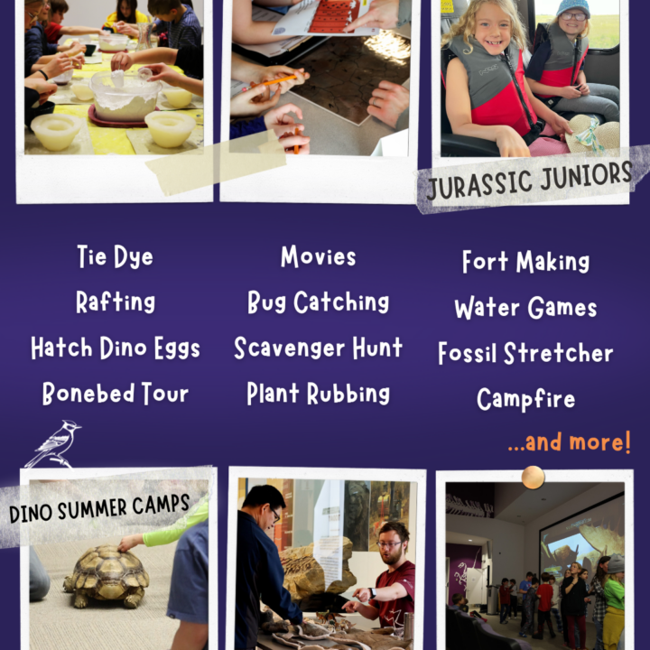 Dino Summer Camps - Philip J. Currie Dinosaur Museum