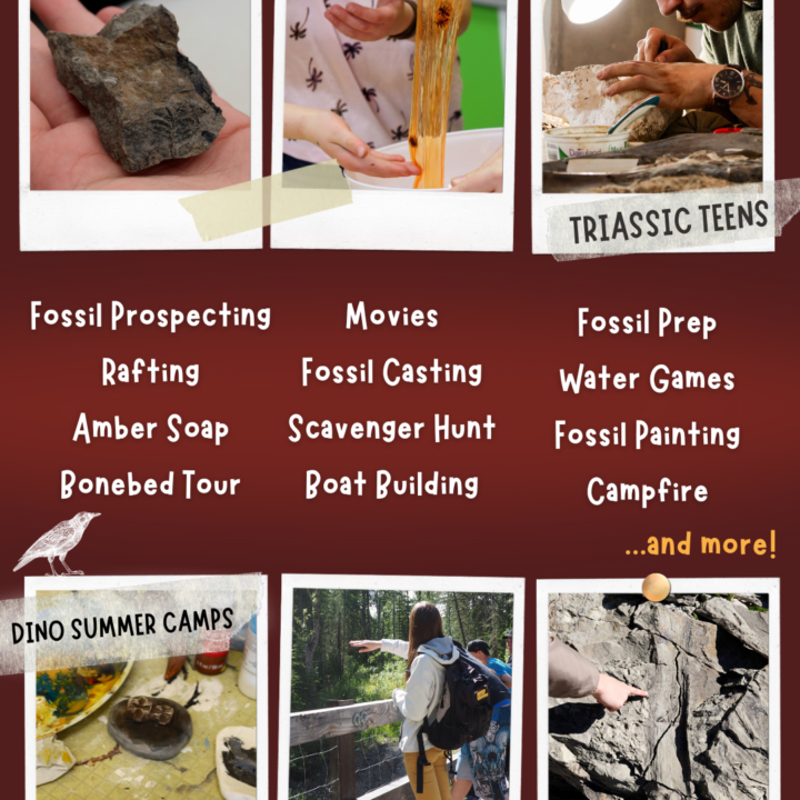 Dino Summer Camps - Philip J. Currie Dinosaur Museum