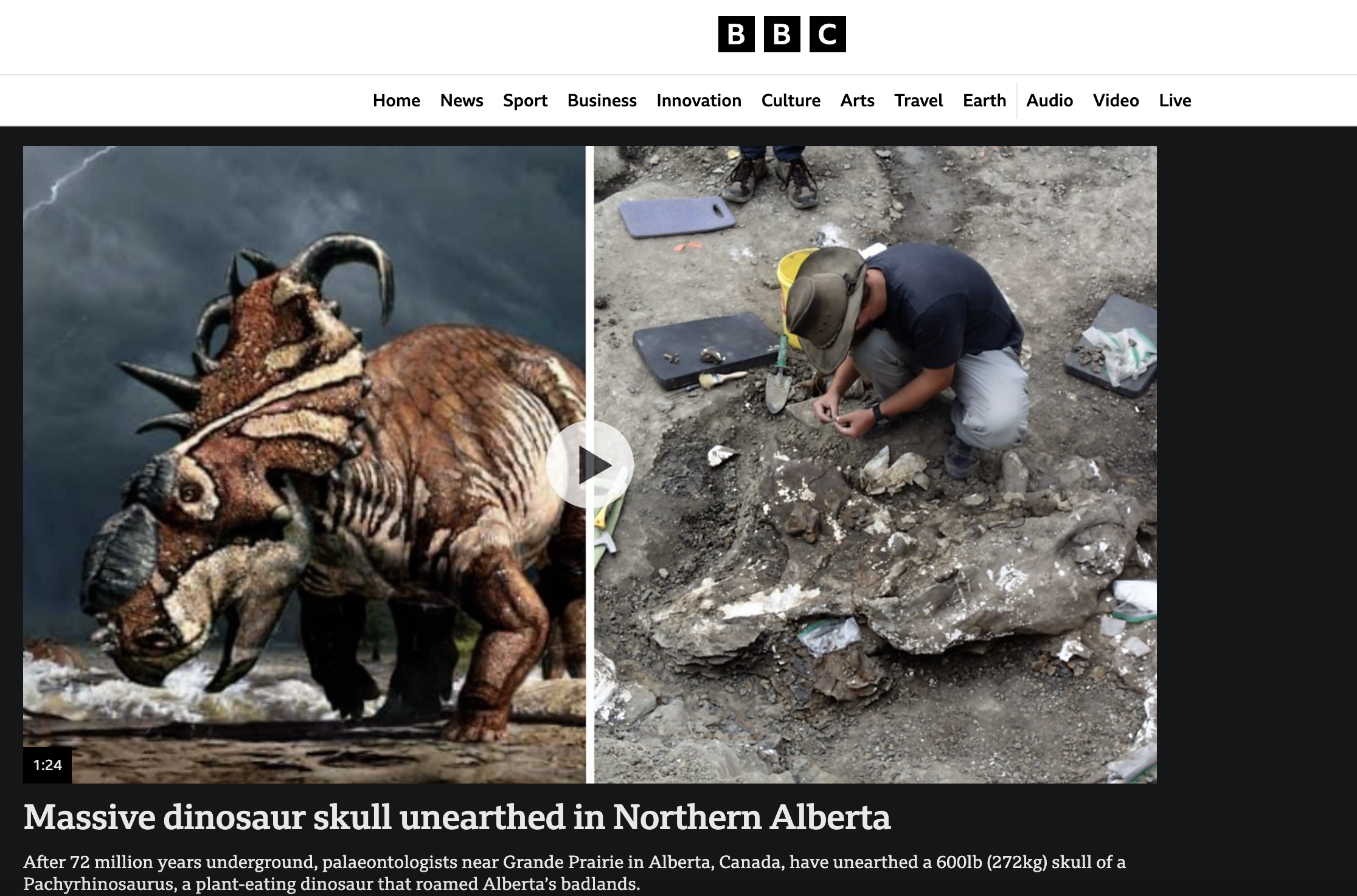 "Big Sam" The Pachyrhinosaurus Skull - Philip J. Currie Dinosaur Museum